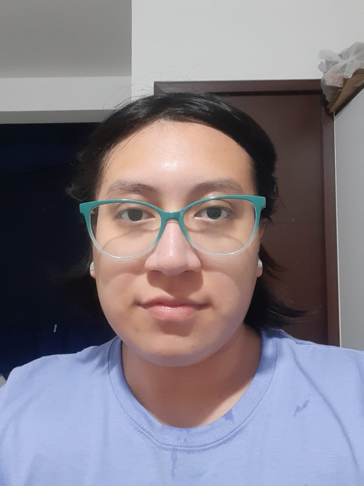 Diana Berenice Ramírez Pineda | R-Ladies Morelia